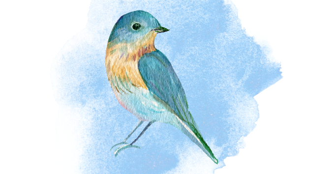 【2/9の変化をクリアにするヒント】｜あさ・幸せに繋ぐ占い師｜coconalaブログ